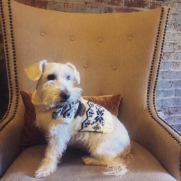 Newnan, GA Industrial Loft-Style Apartments | Newnan Lofts